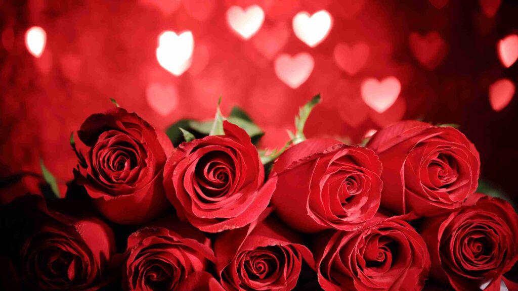 Valentine Week 2024: चॉकलेट डे, किस डे कब है,वैलेंटाइन डे 2024 की पूरी ...